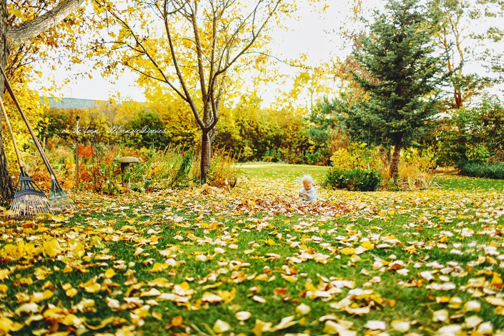 the week in farm photos – October 20th to October 26th » The Farmgirl ...