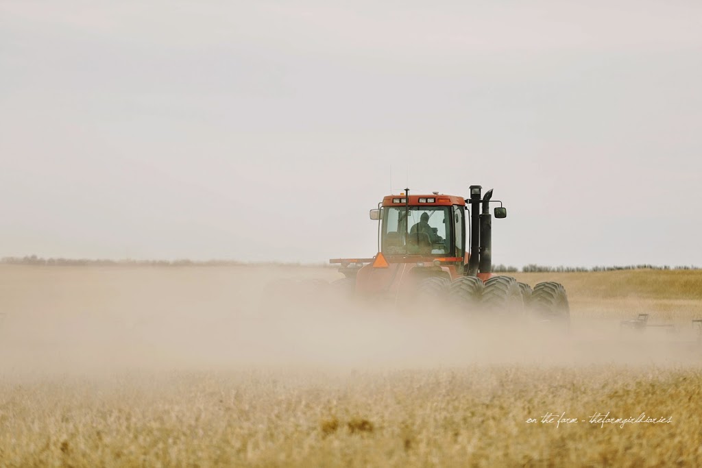 the week in farm photos – October 20th to October 26th » The Farmgirl ...