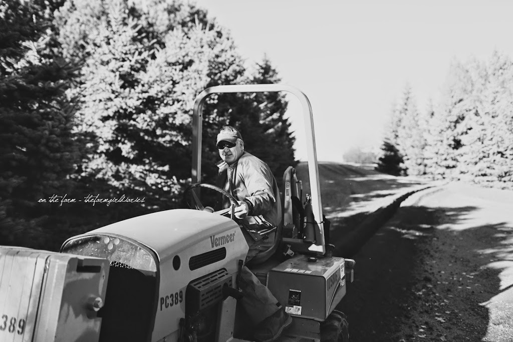 the week in farm photos – October 20th to October 26th » The Farmgirl ...