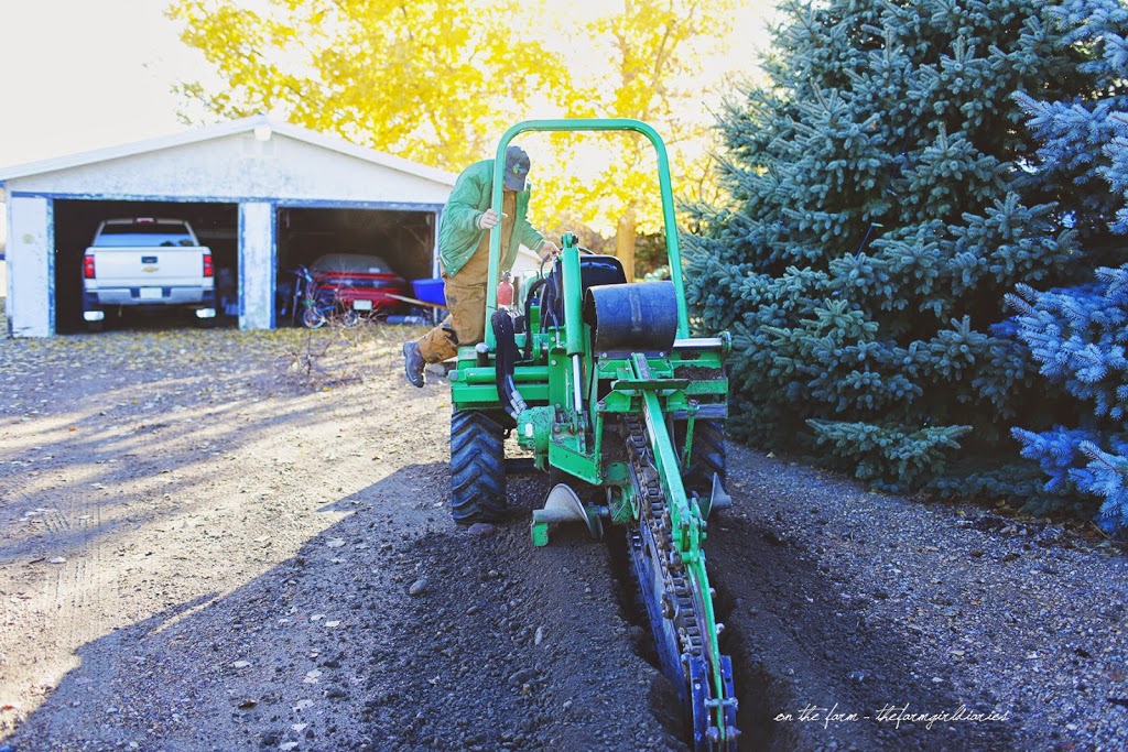 the week in farm photos – October 20th to October 26th » The Farmgirl ...