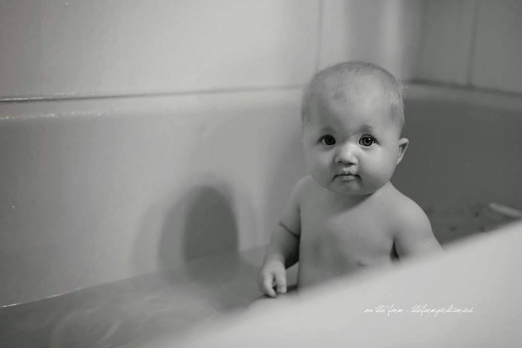 the week in farm photos – October 20th to October 26th » The Farmgirl ...