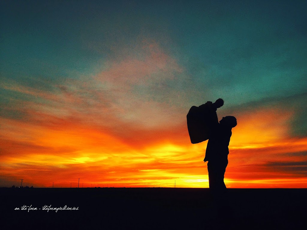 the week in farm photos – October 20th to October 26th » The Farmgirl ...